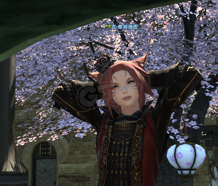 G买卖- FF15绝版联动全齐 未绑码 已过2.0 剑术师50级