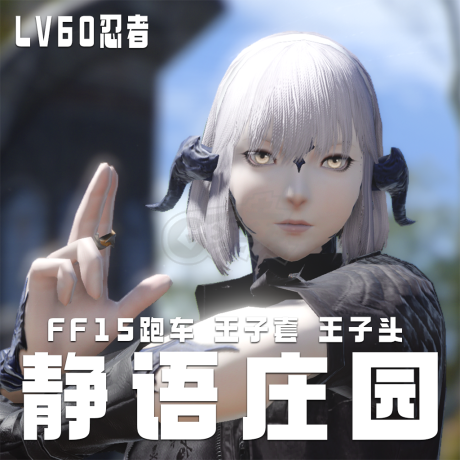 G买卖- 双剑师 60级 龙娘忍者初始号 FF15大跑车 王子头衣服 全猫小胖有角色